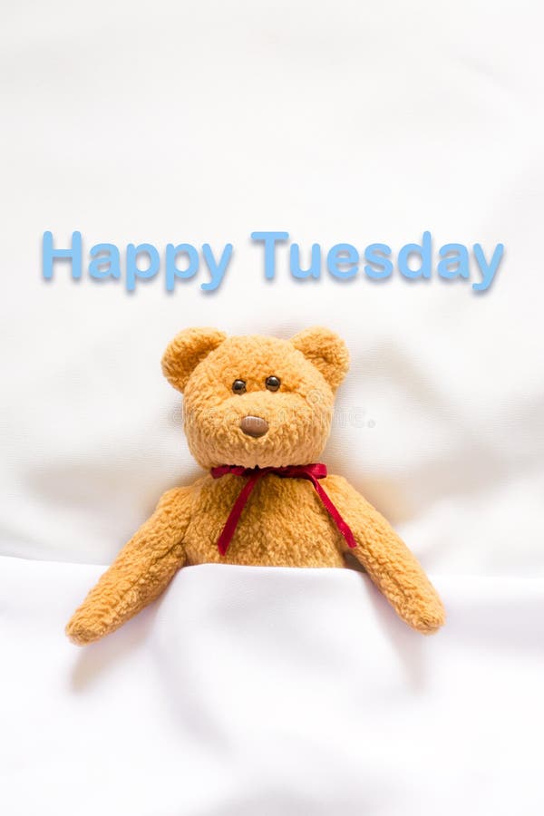 Teddy Bear Lying in the White Bed with Message; Happy Tuesday; Stock ...