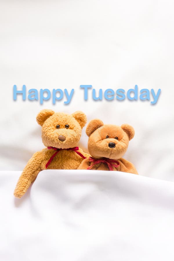Teddy Bear Lying in the White Bed with Message; Happy Tuesday; Stock ...