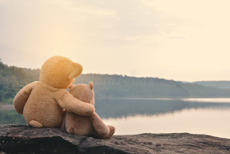Teddy Bear in Nature on Holiday Hipster Tone Stock Image - Image of ...