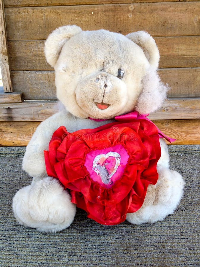 Ripped Teddy Bear Stock Photos - Free & Royalty-Free Stock Photos from ...