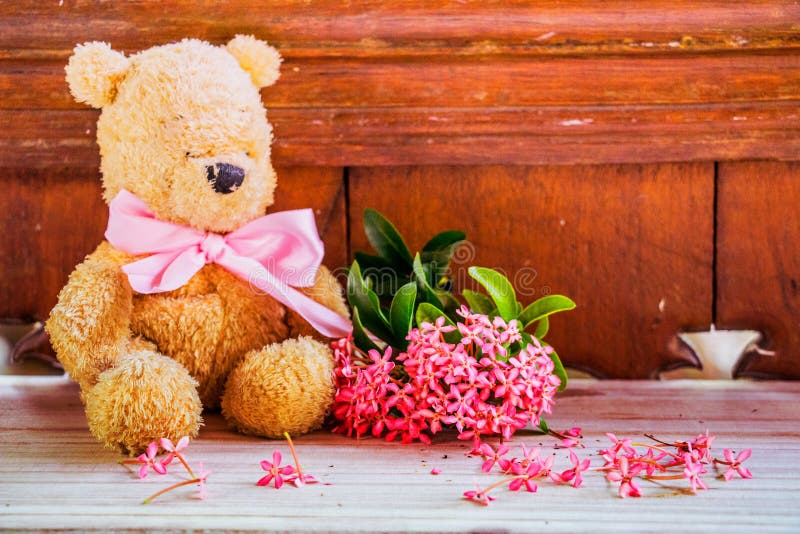 Teddy Bear with Pink Flower with Soft Effect Stock Photo - Image of ...