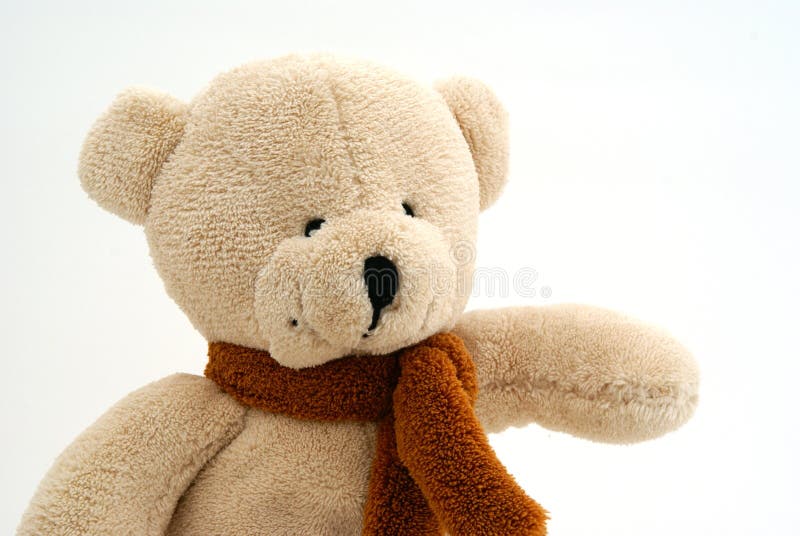 Teddy bear pointing stock photo. Image of soft, pointing - 2816622
