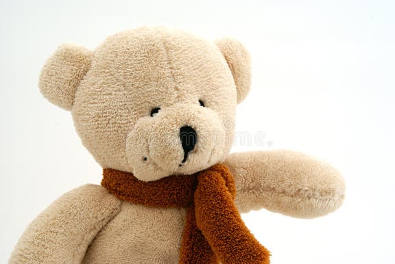 Teddy bear pointing stock photo. Image of soft, pointing - 2816622