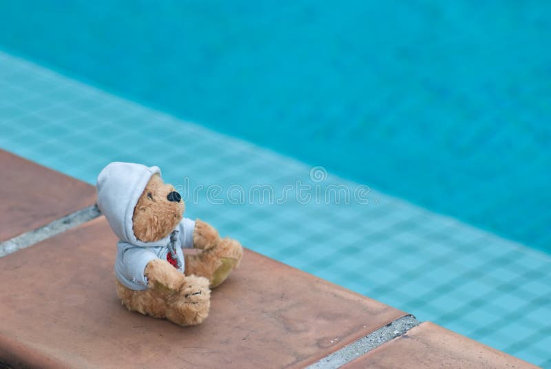 Teddy bear by the pool stock photo. Image of pool, hood - 7092798