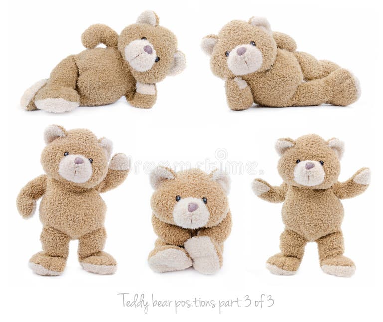 Teddy bear positions stock photo. Image of single, emotion - 30422300
