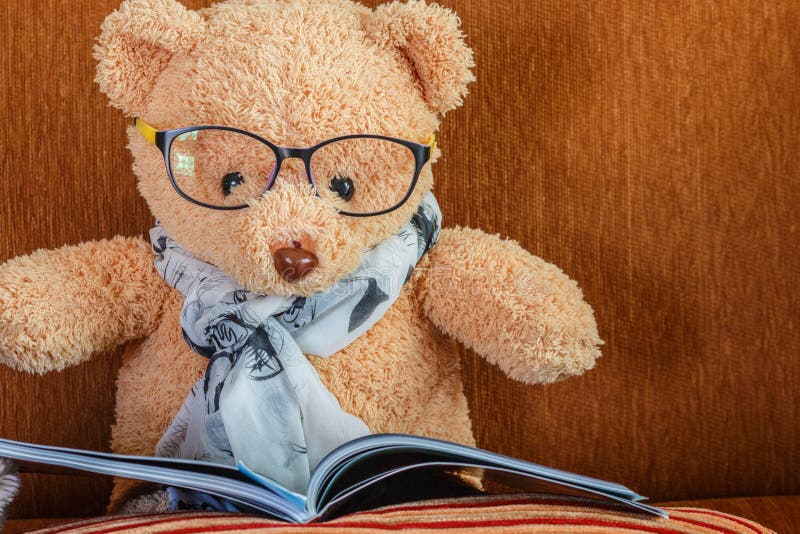 Teddy bear is reading stock image. Image of reading, plush - 61350341