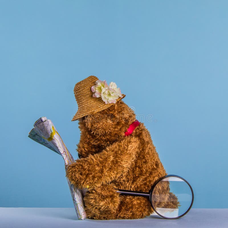 Teddy bear reading map stock image. Image of guide, geographic - 71470281