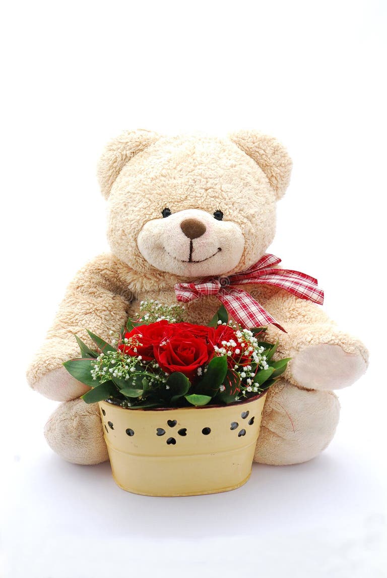 512 Bear Holding Rose Stock Photos - Free & Royalty-Free Stock Photos ...