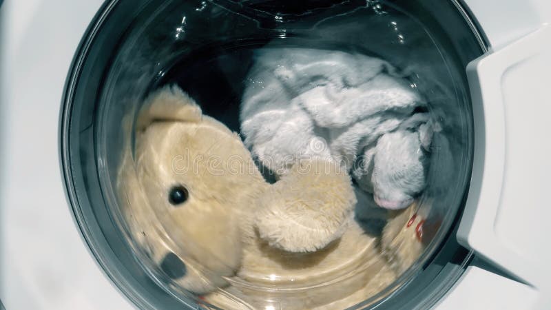 Plush Toy in the Washing Machine Stock Footage - Video of alone, care ...
