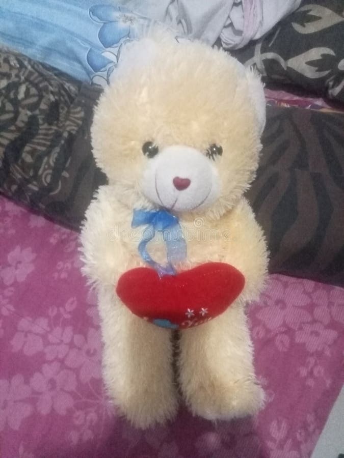 The Teddy Bear in the Room is Very Cute Stock Image - Image of pink ...