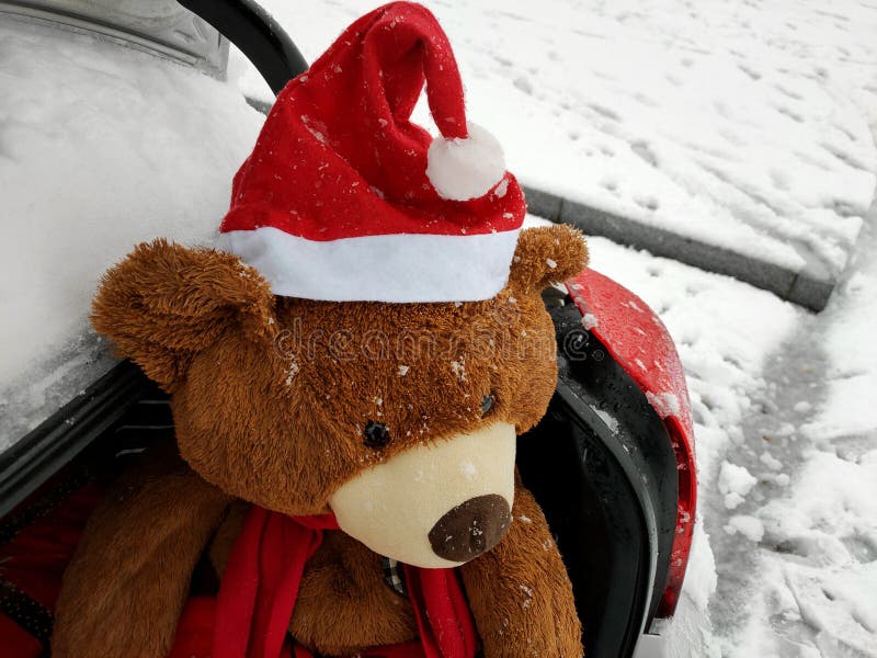 Teddy Bear with Santa Claus Hat in the Trunk of a Car Stock Photo ...