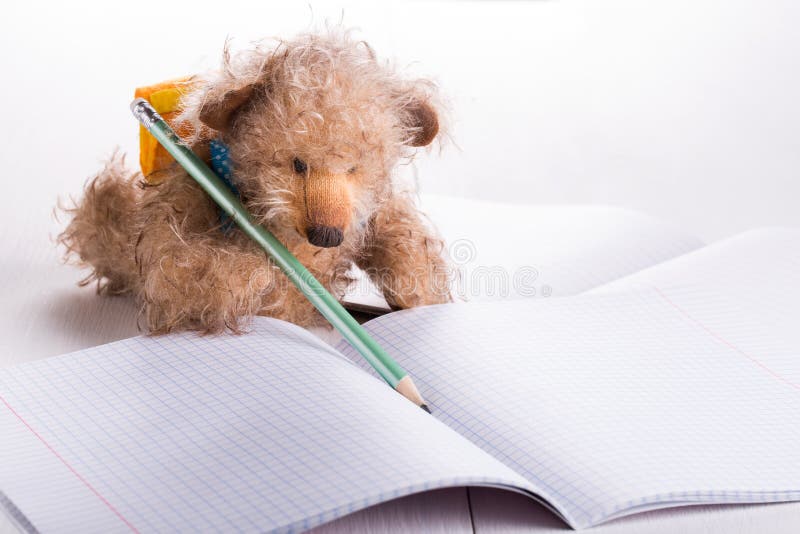 Teddy bear schoolboy stock image. Image of hand, copy - 138456765