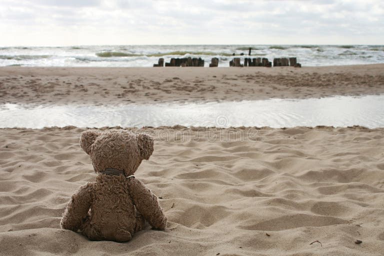 Teddy Bear by sea stock image. Image of scenic, summer - 12892673