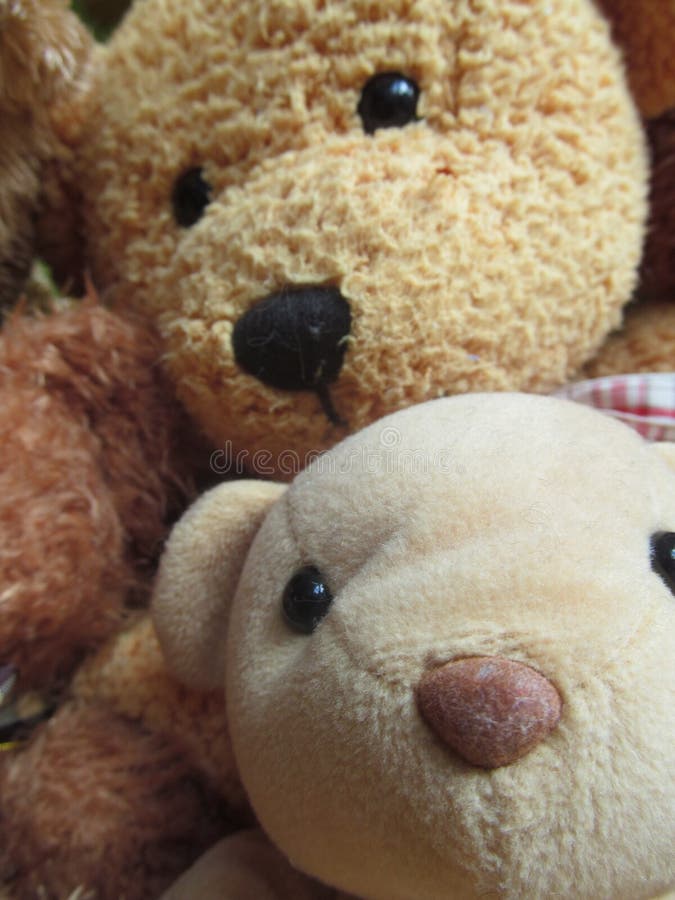 Teddy Bear Selfie 2 Stock Images - Download 80 Royalty Free Photos