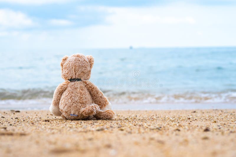 Teddy Bear Sit Alone at the Seashore Stock Photo - Image of nature ...