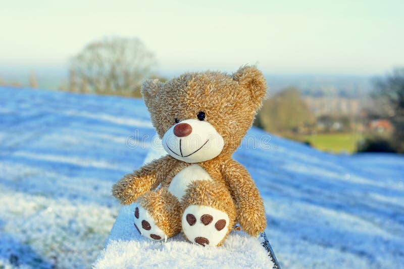 Teddy bear sitting stock photo. Image of nature, countryside - 22891666