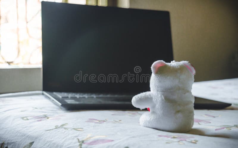 Teddy Bear Sitting in Front of Laptop Computer Device. Still Life ...