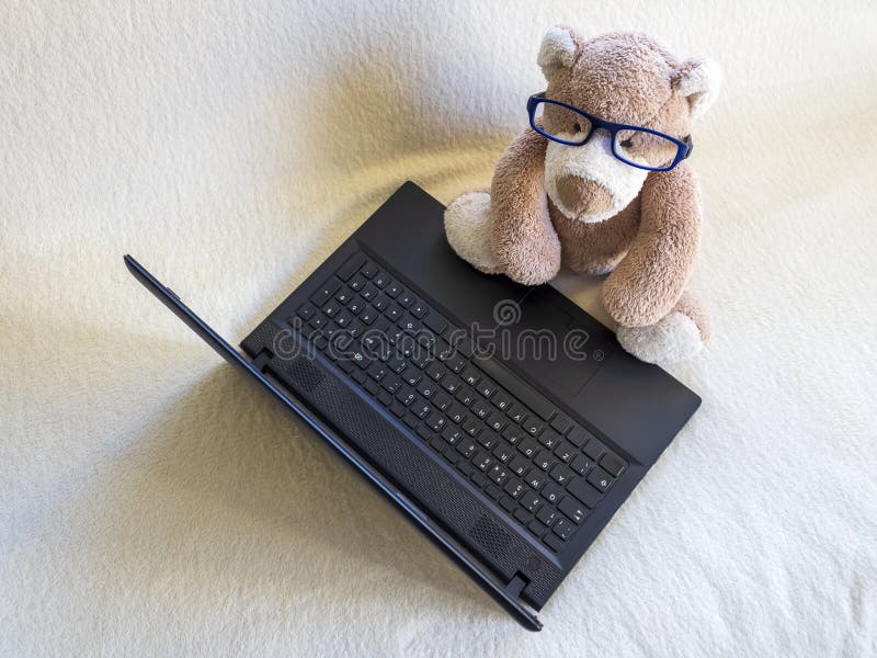 Teddy Bear Sitting in Front of Laptop Stock Photo - Image of teddy ...