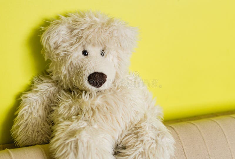 Teddy Bear Sitting One the Couch Stock Image - Image of isolated, couch ...