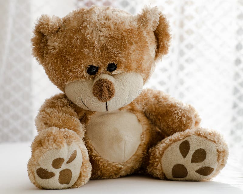 Teddy bear stock photo. Image of toys, bear, white, single - 36701836