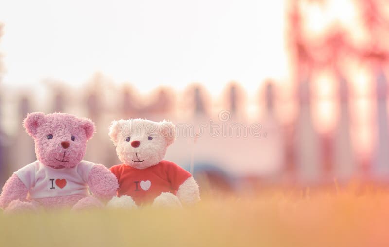 Teddy bear with sunset stock photo. Image of floor, invitation - 109711714