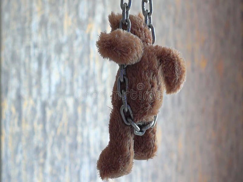 Teddy bear hanging stock footage. Video of line, children - 184731808