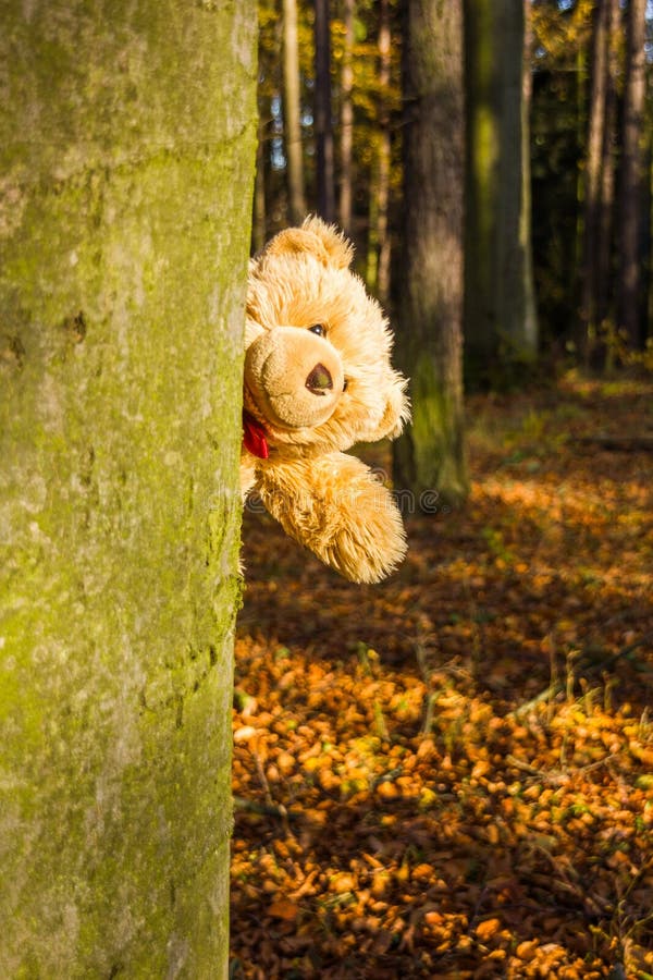 Teddy bear stock image. Image of vintage, friend, happy - 103196201