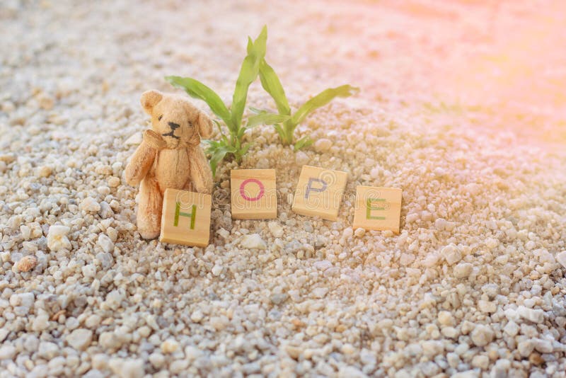 Bear and Text Words Hope on Sand Background Stock Photo - Image of ...
