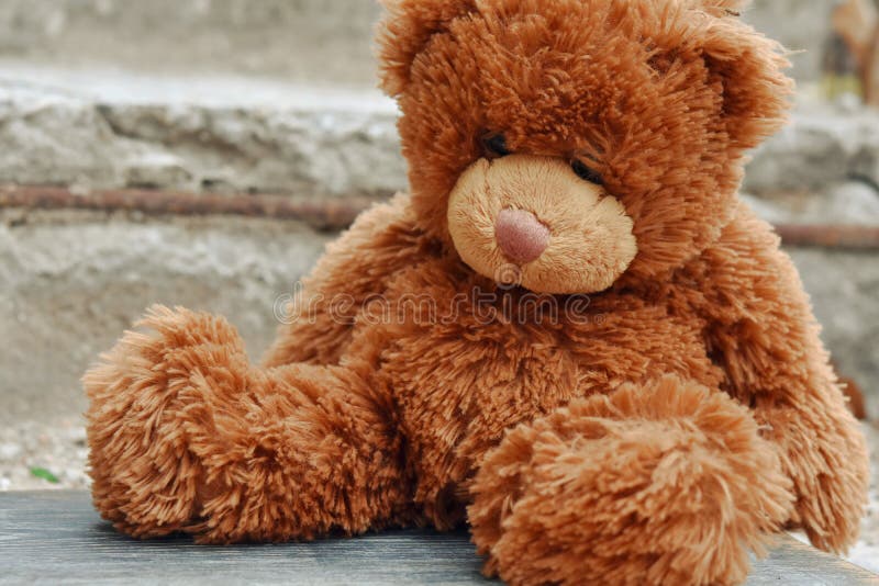 Teddy Bear Toy Close-up Sitting on the Steps Stock Photo - Image of ...