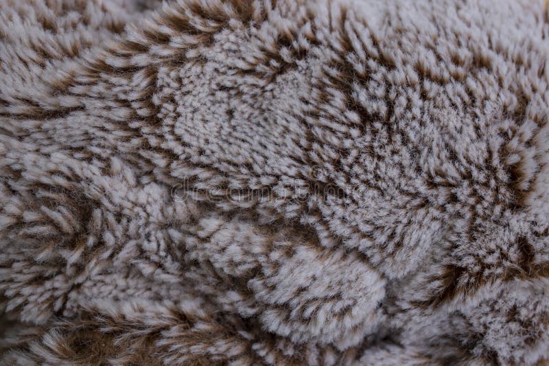 Teddy Bear Toy Fluffy Structure Close Up, Brown Gray Abstract Backdrop ...