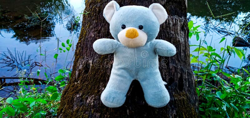 Teddy bear on the tree stock photo. Image of chillies - 177791756