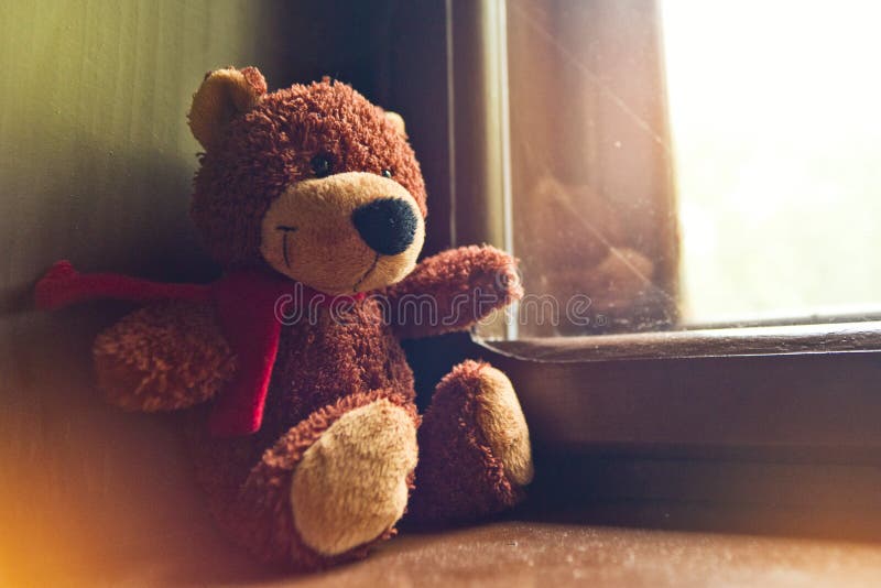 Teddy in the Window stock photo. Image of loneliness - 24168854