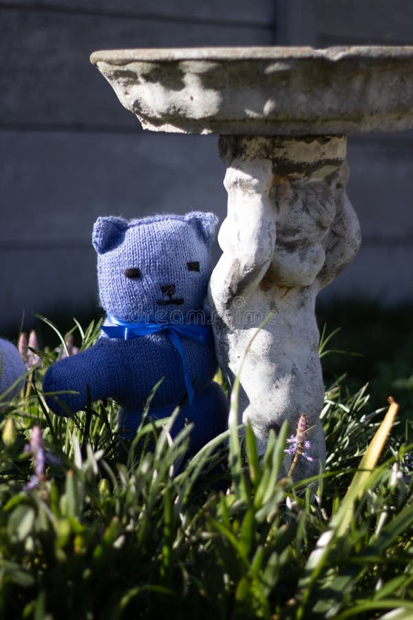 Teddy Bears Hiding Behind Plants in a Garden Stock Image - Image of ...