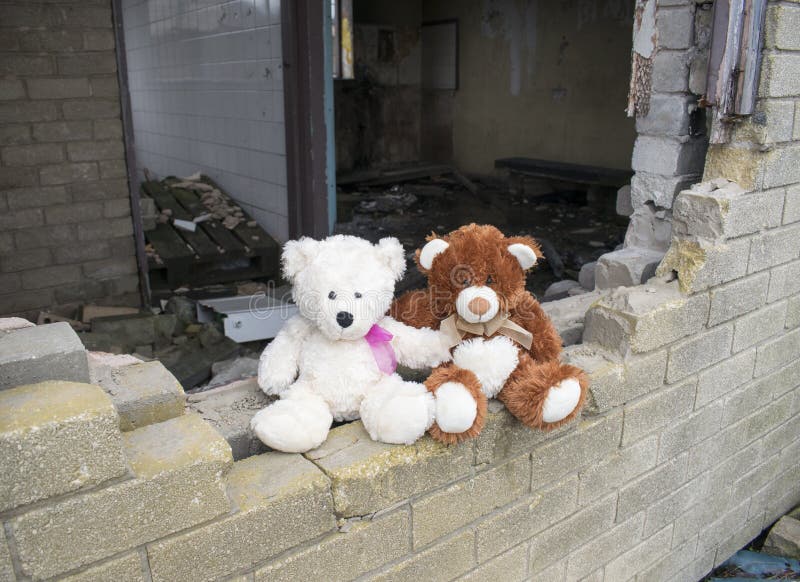 Teddy Bears Sitting on Smashed Derelict Abandoned Building Wall Stock ...