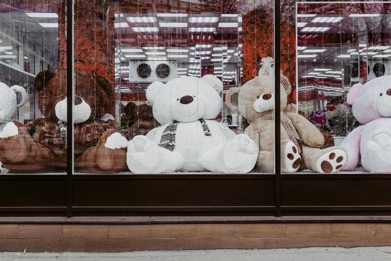 Teddy Bears in the Toy Shop Window Stock Image - Image of window, large ...