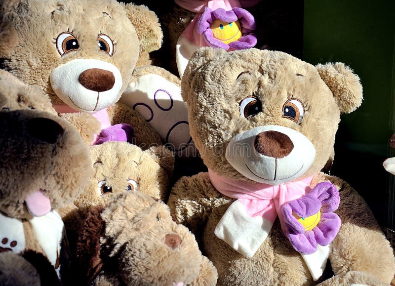Teddy Bears Store Window Stock Photos - Free & Royalty-Free Stock ...