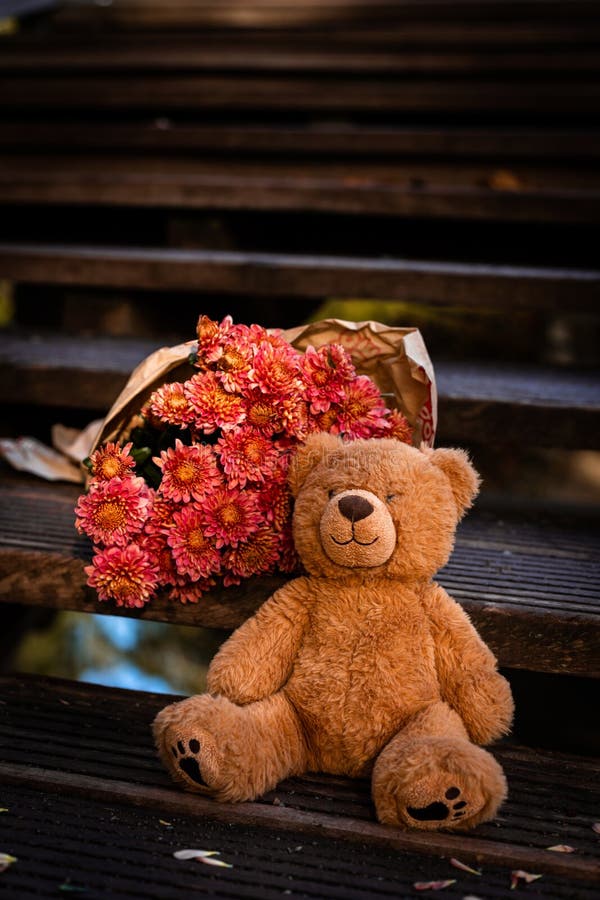 A Teddy Brown Bear Sits on Wooden Steps Next To Chrysanthemums. Stock ...