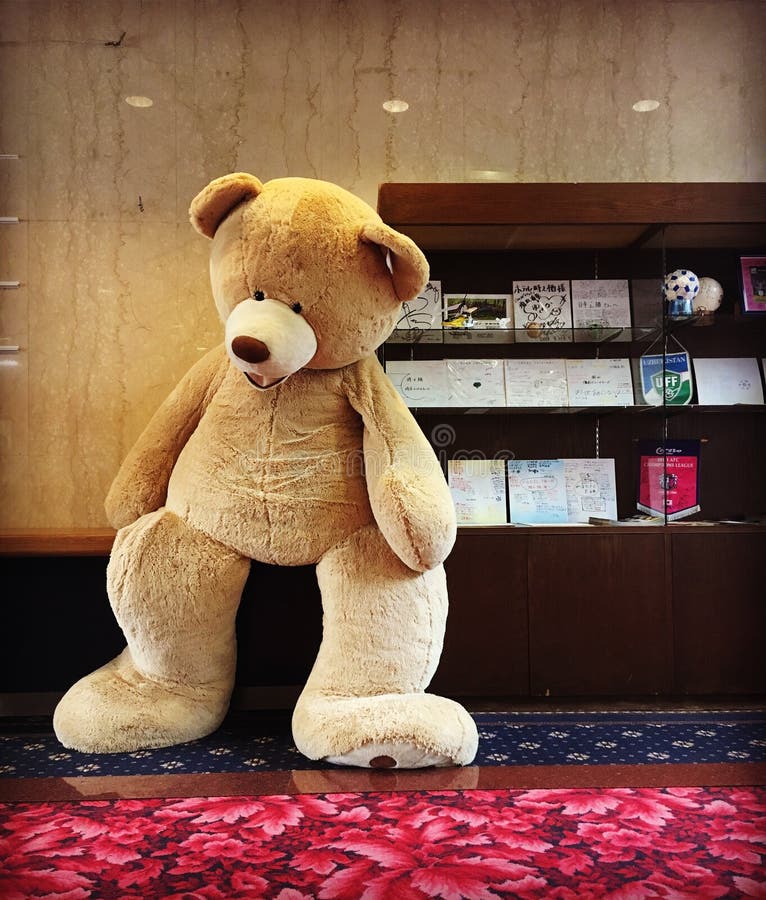 Teddy bear editorial photography. Image of teddy, hotel - 136361907