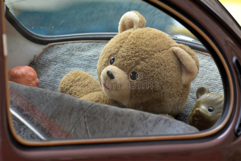 Teddy Bear in a car stock image. Image of danger, teddy - 119511837