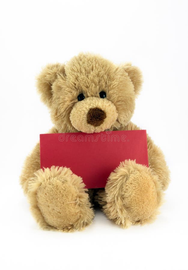 Teddy with red card. stock photo. Image of mothers, romantic - 29444016