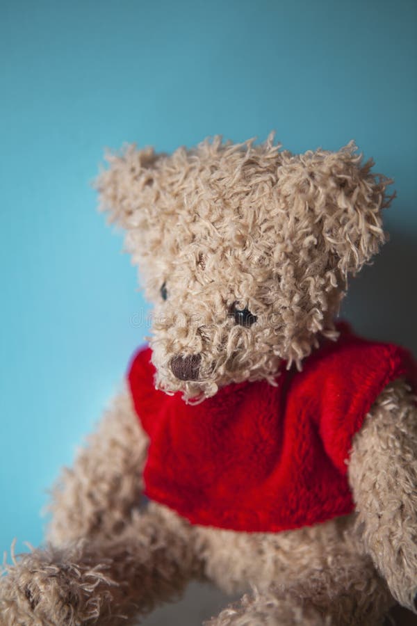 Teddy in red stock image. Image of shirt, blue, teddy - 66121005