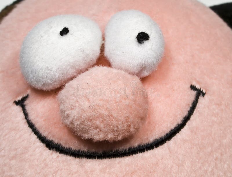 Teddy Smiling Face stock photo. Image of mouth, teddy - 14735802