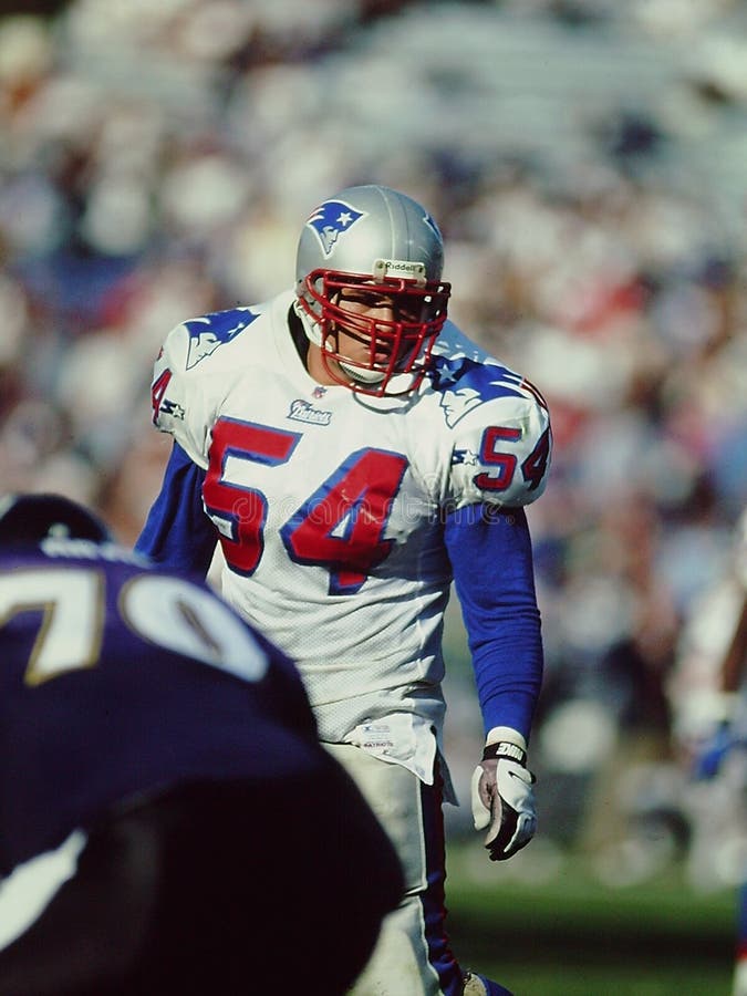 Tedy Bruschi New England Patriots Editorial Photo - Image of football ...