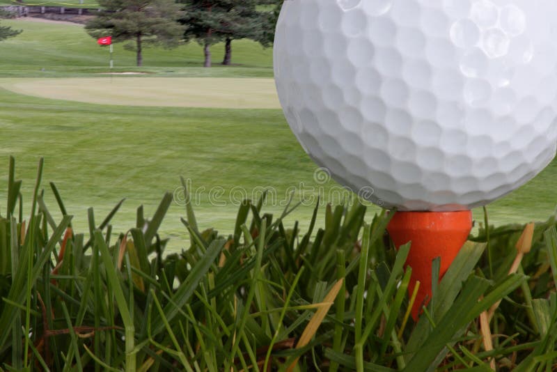 Sergeant Hat stock photo. Image of boss, protect, gold - 109934