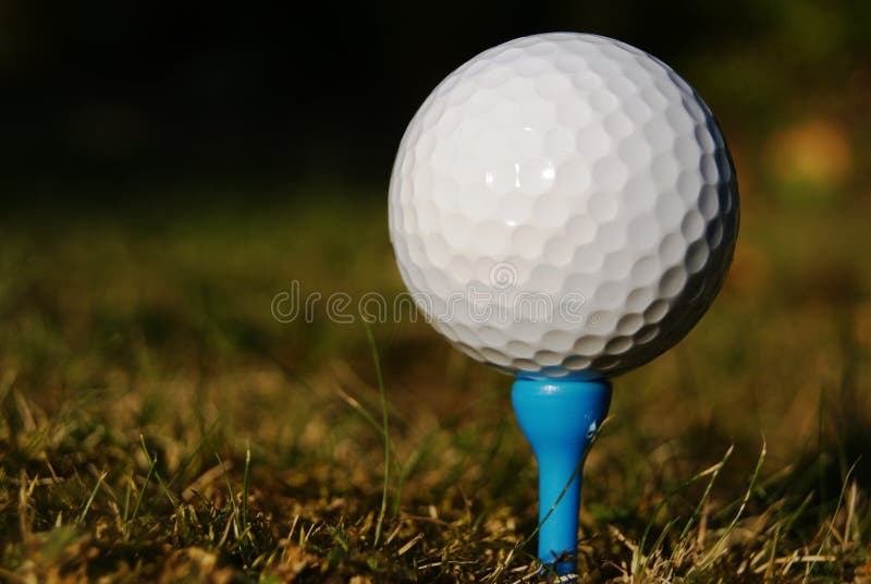Tee off stock photo. Image of ball, game, grass, sport - 21762904