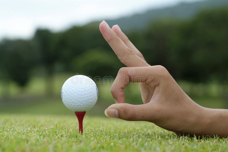 Tee off stock image. Image of hold, hand, eagle, drive - 979951