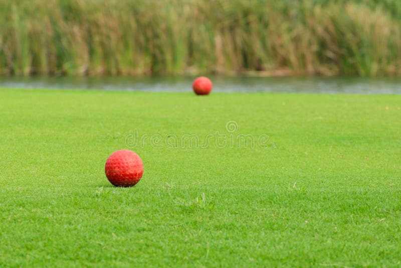 Tee off in golf course stock image. Image of fairway - 84383245