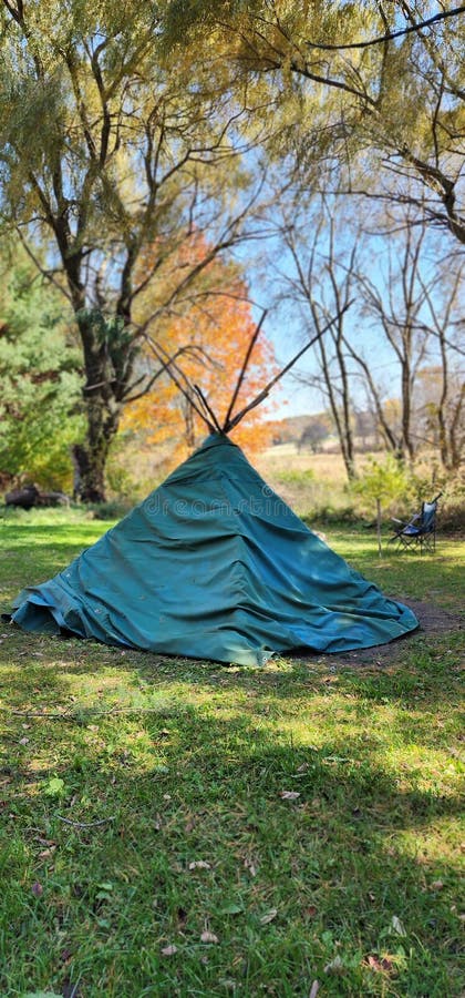 Tee pee camping stock image. Image of plant, forest - 259759219