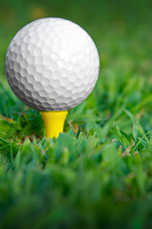 Tee up vertical stock photo. Image of sport, fairway, golf - 252868