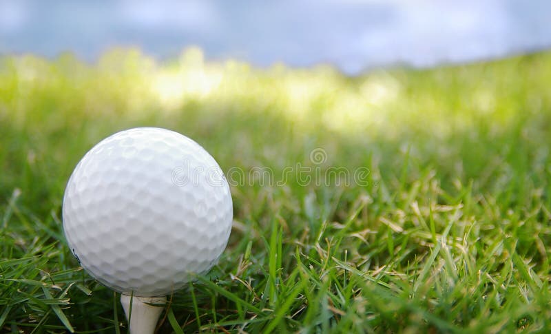 Man Typing at Keyboard stock photo. Image of isolation - 1351850